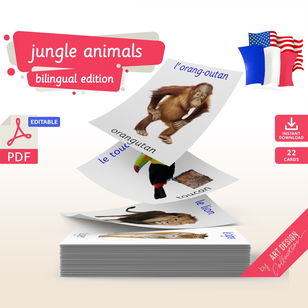 JUNGLE ANIMALS BILINGUAL • 22 Editable Montessori Cards • Flash Cards ...