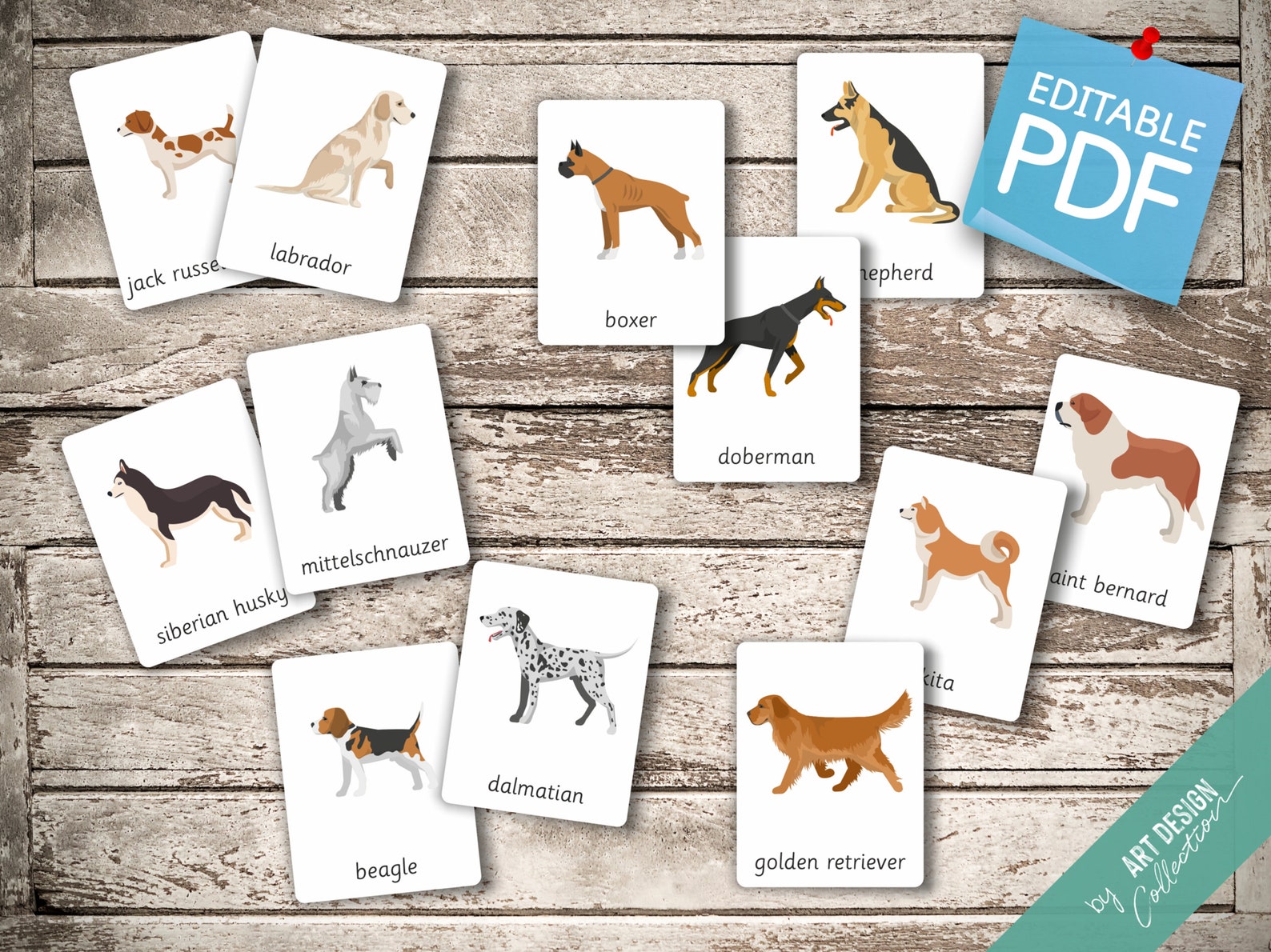 BREEDS OF DOG 26 Editable Montessori Cards Flash Cards - Etsy