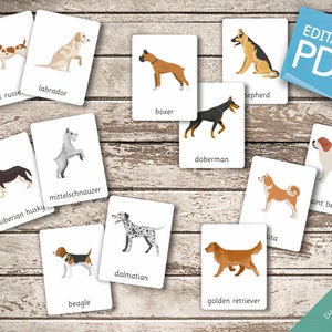 BREEDS OF DOG • 26 Editable Montessori Cards • Flash Cards Nomenclature ...