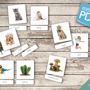 LIVING / Non-living 80 Editable Montessori Cards Flash Cards ...