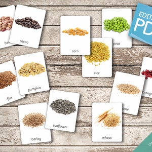 SEEDS (real Pictures) • 28 Editable Montessori Cards • Flash Cards ...