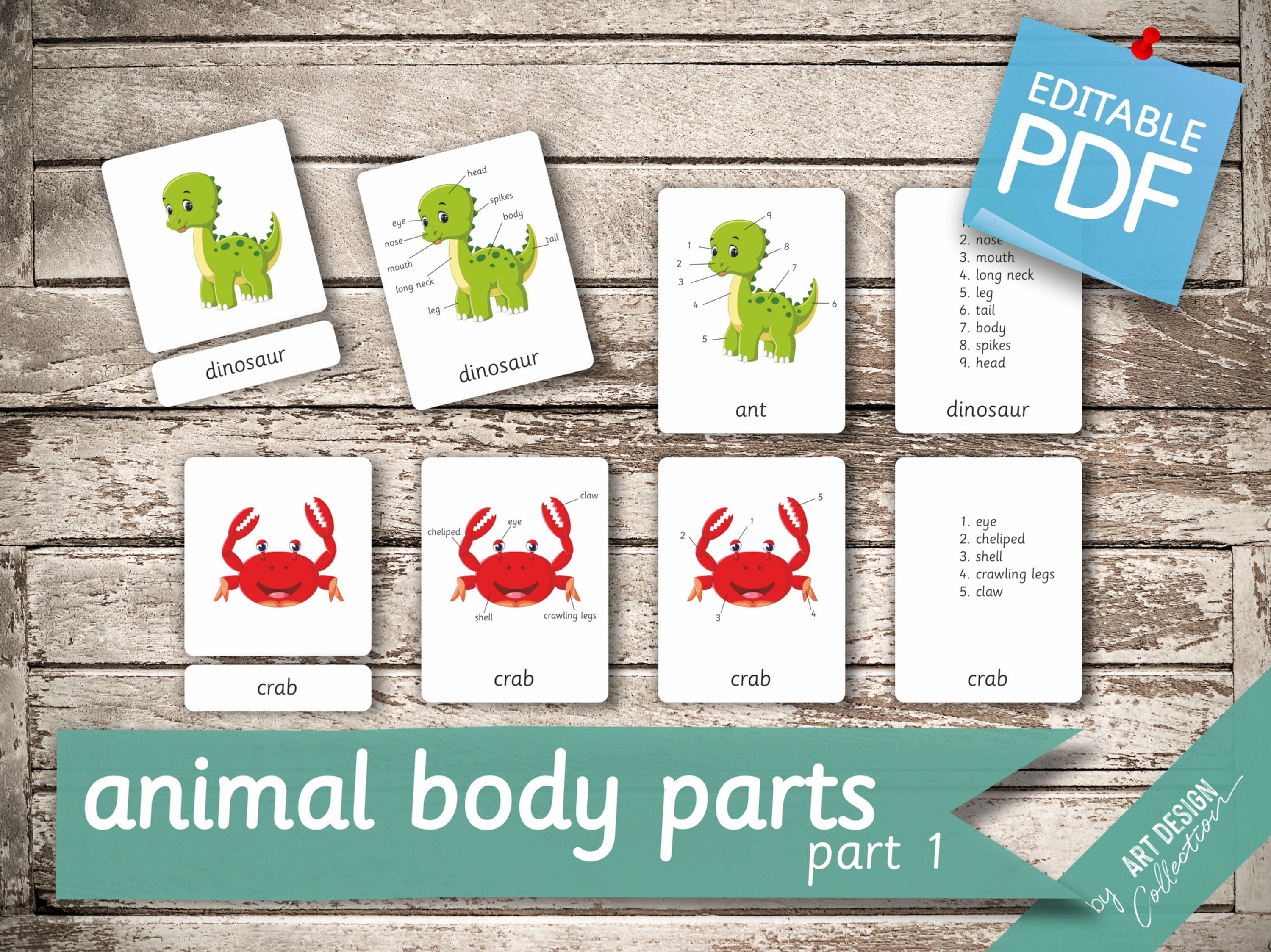 ANIMAL BODY PARTS part 1 104 Editable Montessori Cards - Etsy