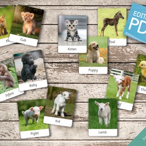 ANIMALS' BABIES • 108 Editable Montessori Cards • Flash Cards ...