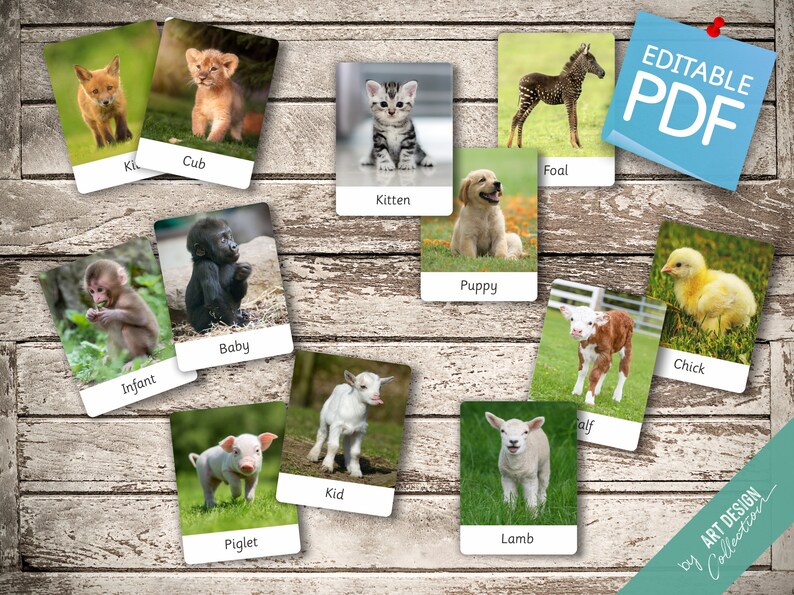 ANIMALS' BABIES 108 Editable Montessori Cards Flash | Etsy