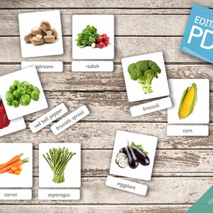 VEGETABLES (real Pictures) • 46 Editable Montessori Cards • Flash Cards ...