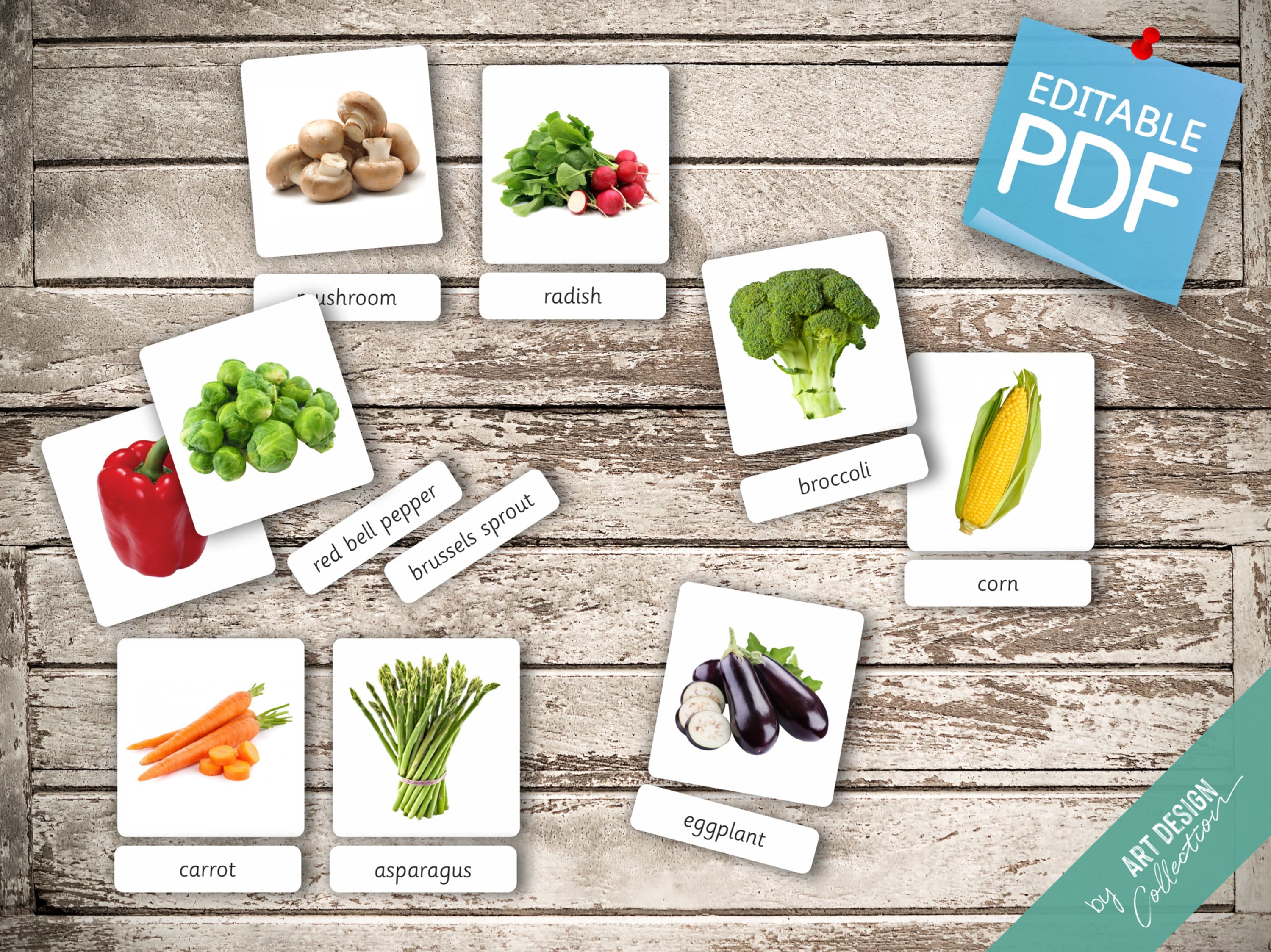 VEGETABLES real Pictures 46 Editable Montessori Cards - Etsy