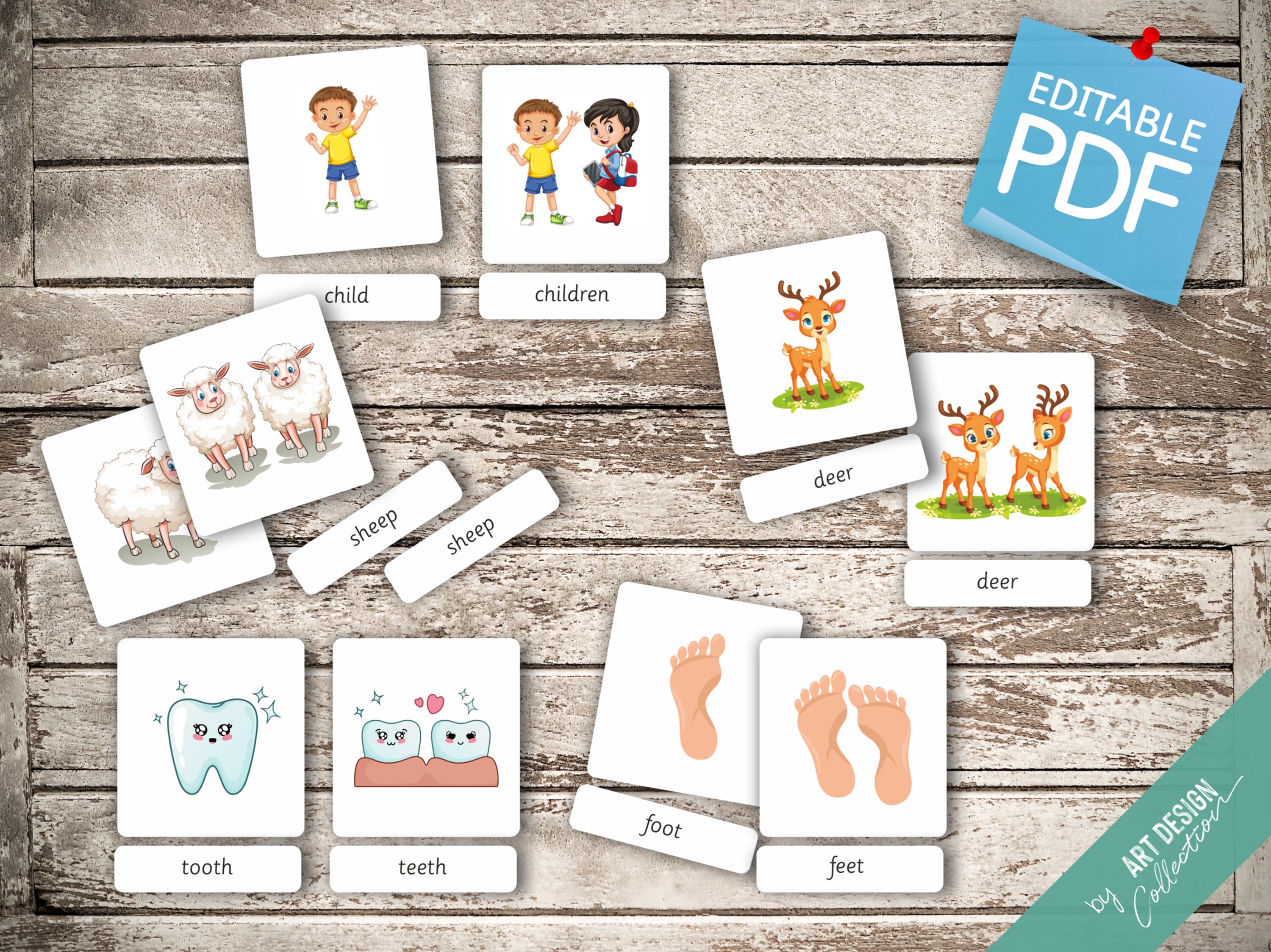 IRREGULAR PLURALS • 54 Montessori Cards • Flash Cards Nomenclature ...