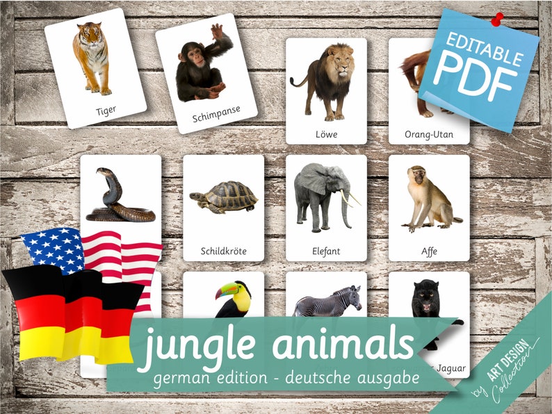 JUNGLE ANIMALS GERMAN Edition • 22 German and 22 English Editable ...