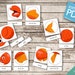 BODY PART of FISH • 11 Montessori Cards • Flash Cards Nomenclature ...