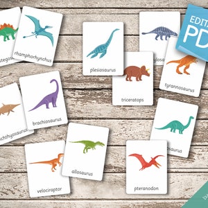 DINOSAURS • 20 Editable Montessori Cards • Flash Cards Nomenclature ...