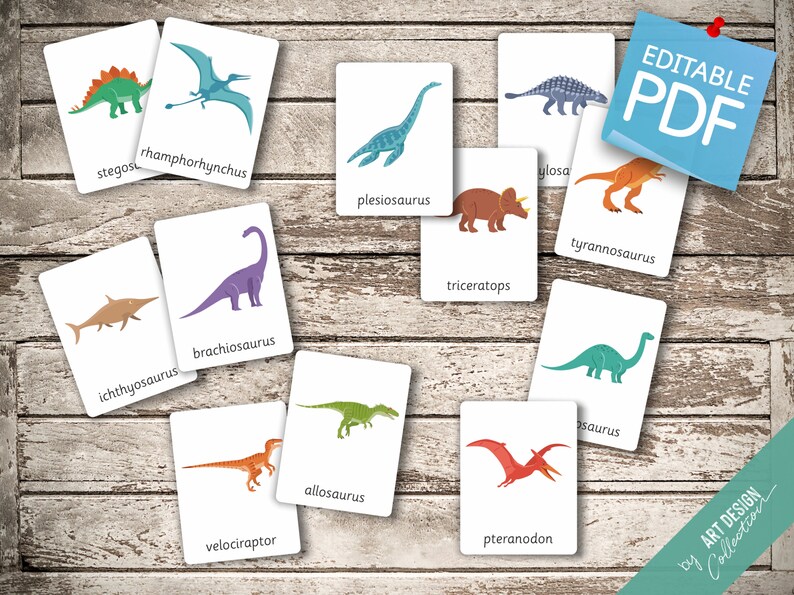DINOSAURS 20 Editable Montessori Cards Flash Cards - Etsy