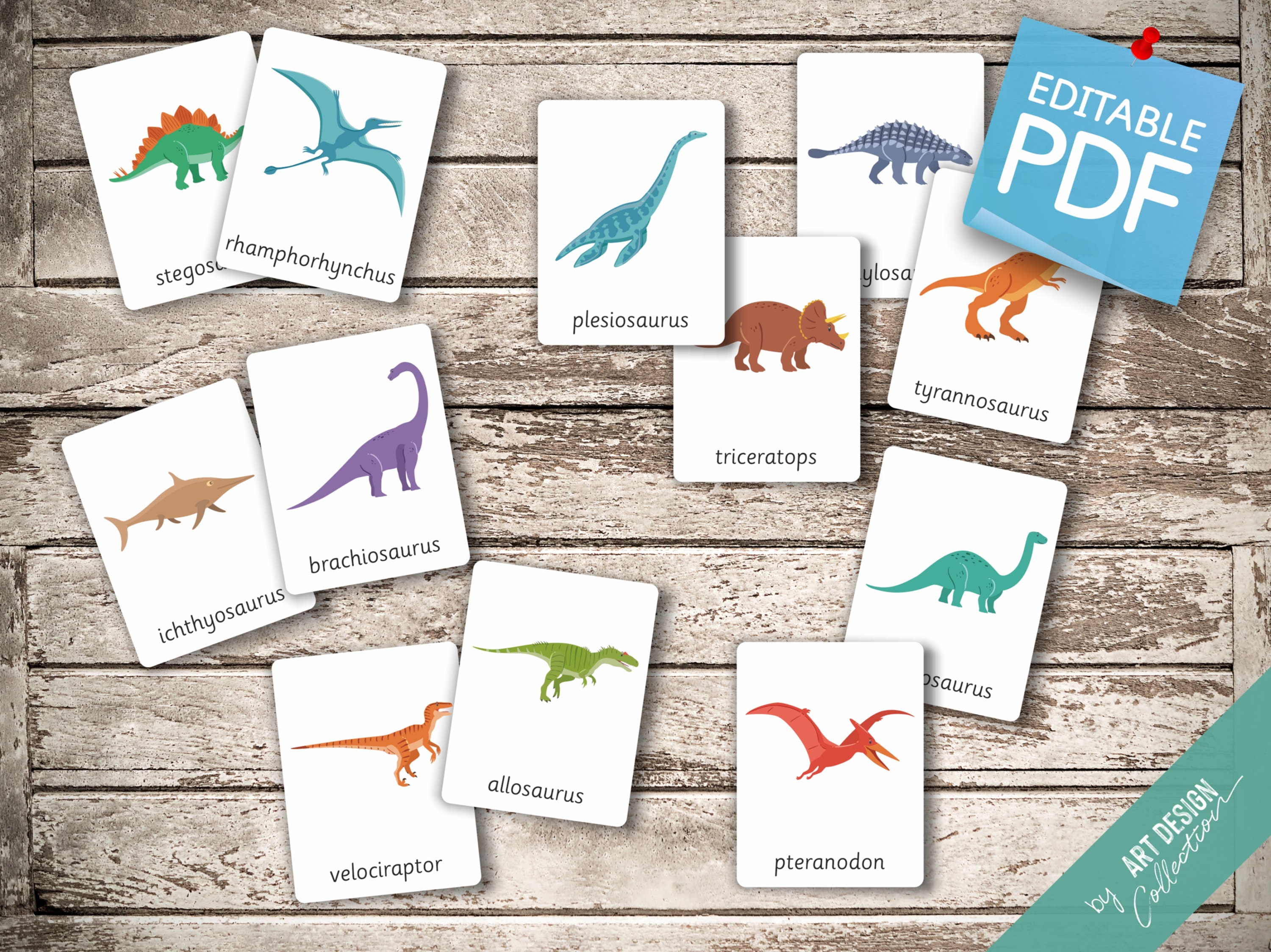 DINOSAURS 20 Editable Montessori Cards Flash Cards | Etsy New Zealand