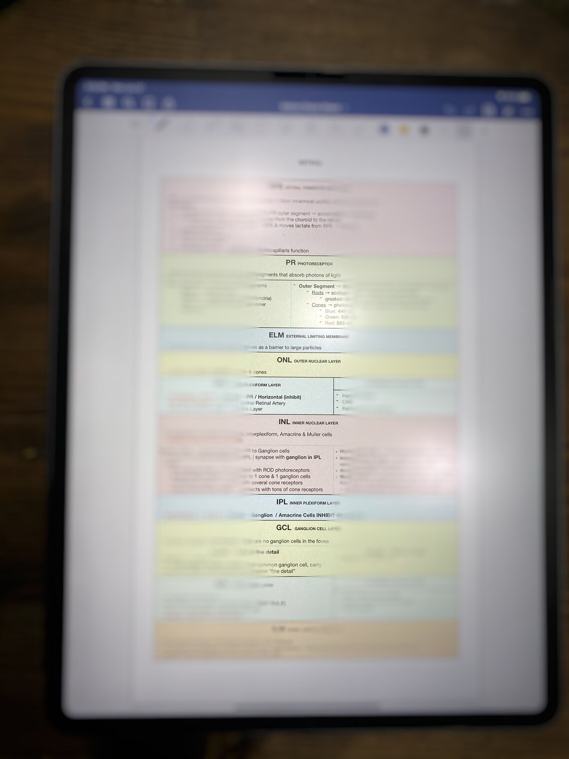 Optometry Retina Anatomy / Retinal Layers / Reference Study Sheet ...