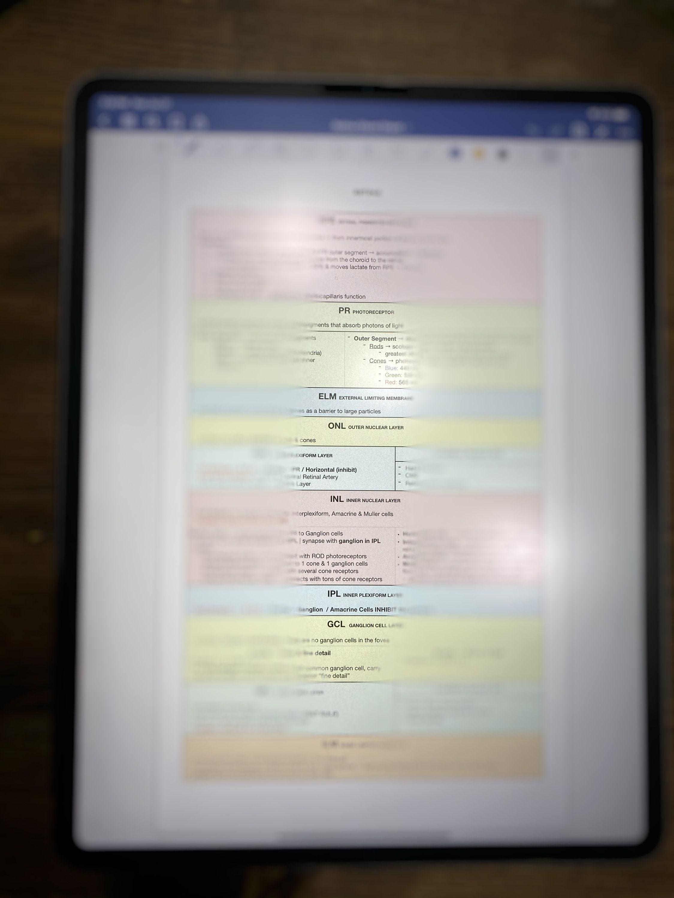 Optometry Retina Anatomy / Retinal Layers / Reference Study Sheet ...