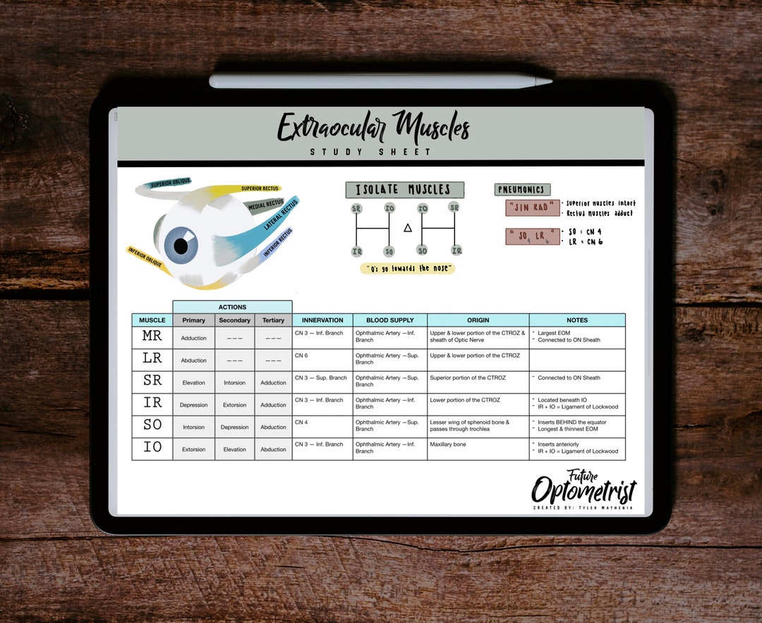 UPDATED: Extraocular Muscles (EOM) Optometry Anatomy Study Sheet ...