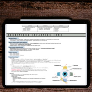 UPDATED: Extraocular Muscles (EOM) Optometry Anatomy Study Sheet ...