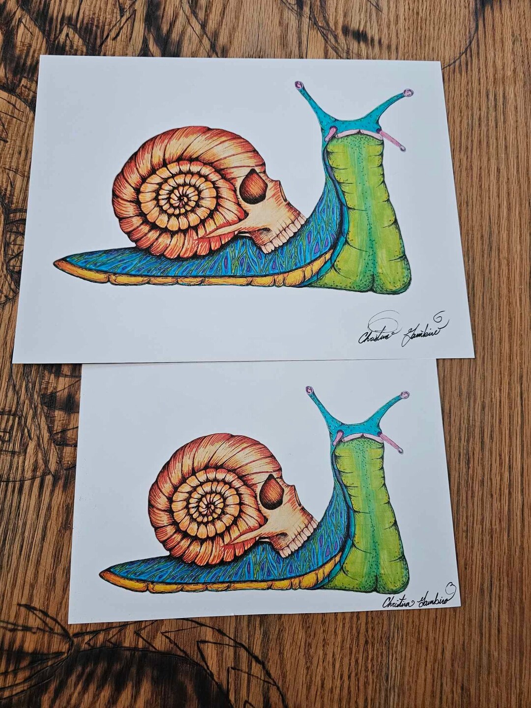 Original Art Print - 'skull Snail' Ultra Premium Photo Paper 8 1/2'' by ...