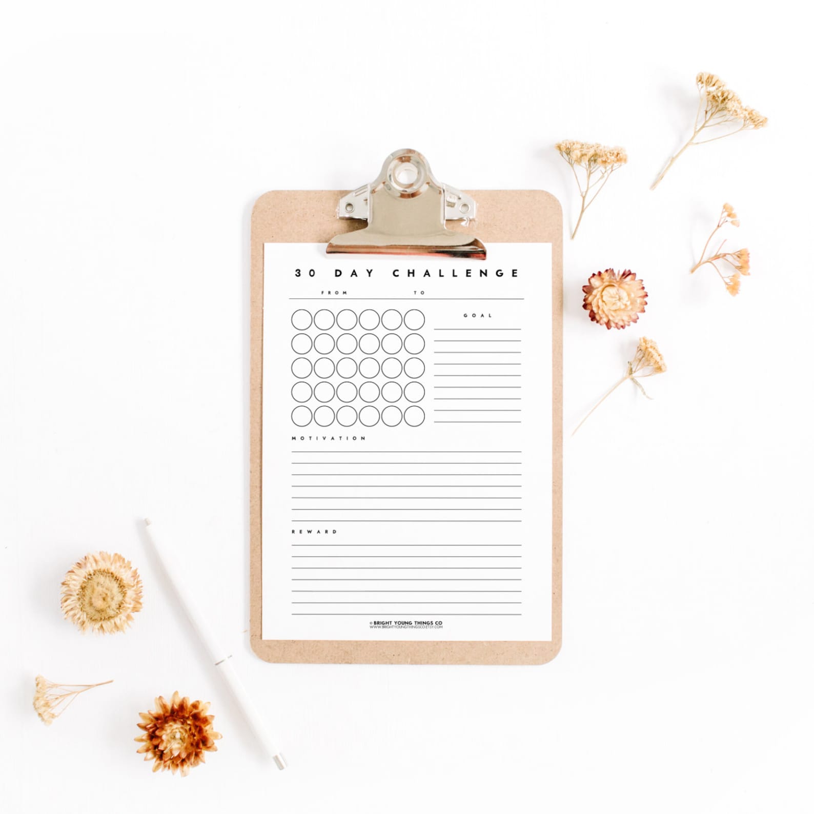 30 Day Challenge Printable PDF, 30 Day Challenge Fillable PDF Worksheet ...