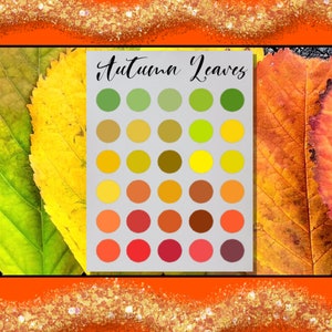 Autumn Leaves Procreate Swatches, Fall Foliage Colors Palette - Etsy