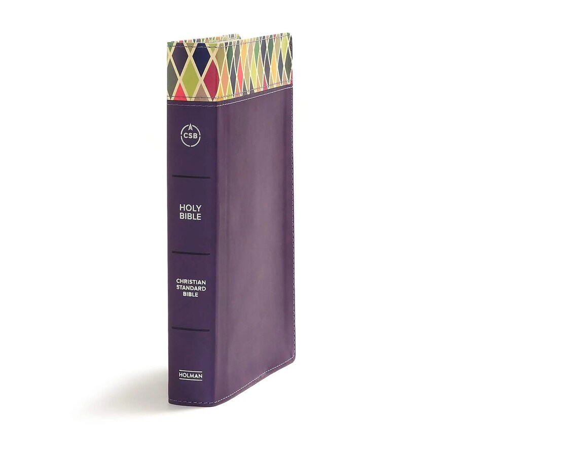 PERSONALIZED CSB Rainbow Study Bible Purple Leathertouch - Etsy