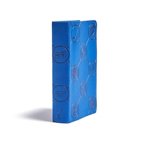 PERSONALIZED *** CSB Kids Bible - Soft Leather-look - Blue With Sports ...