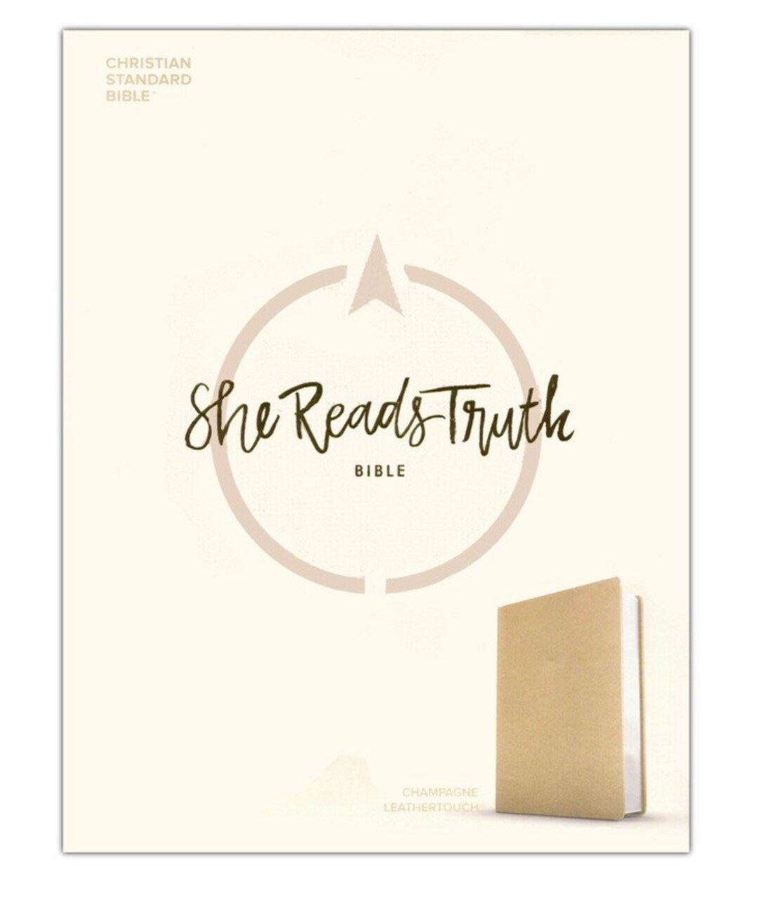 PERSONALIZED *** CSB She Reads Truth Bible Leathertouch, Champagne ...