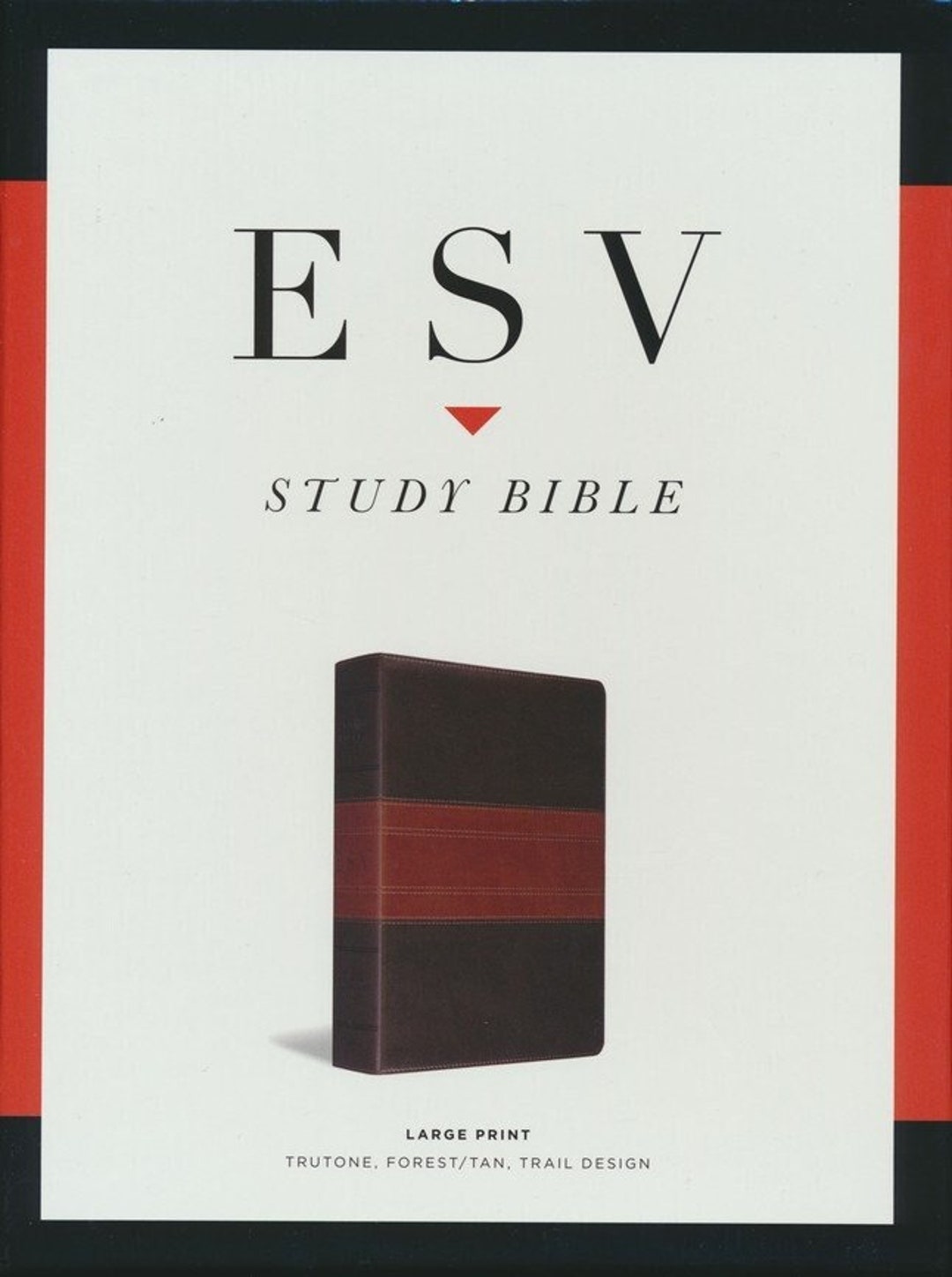 PERSONALIZED *** ESV Large-print Study Bible - Soft Leather-look ...