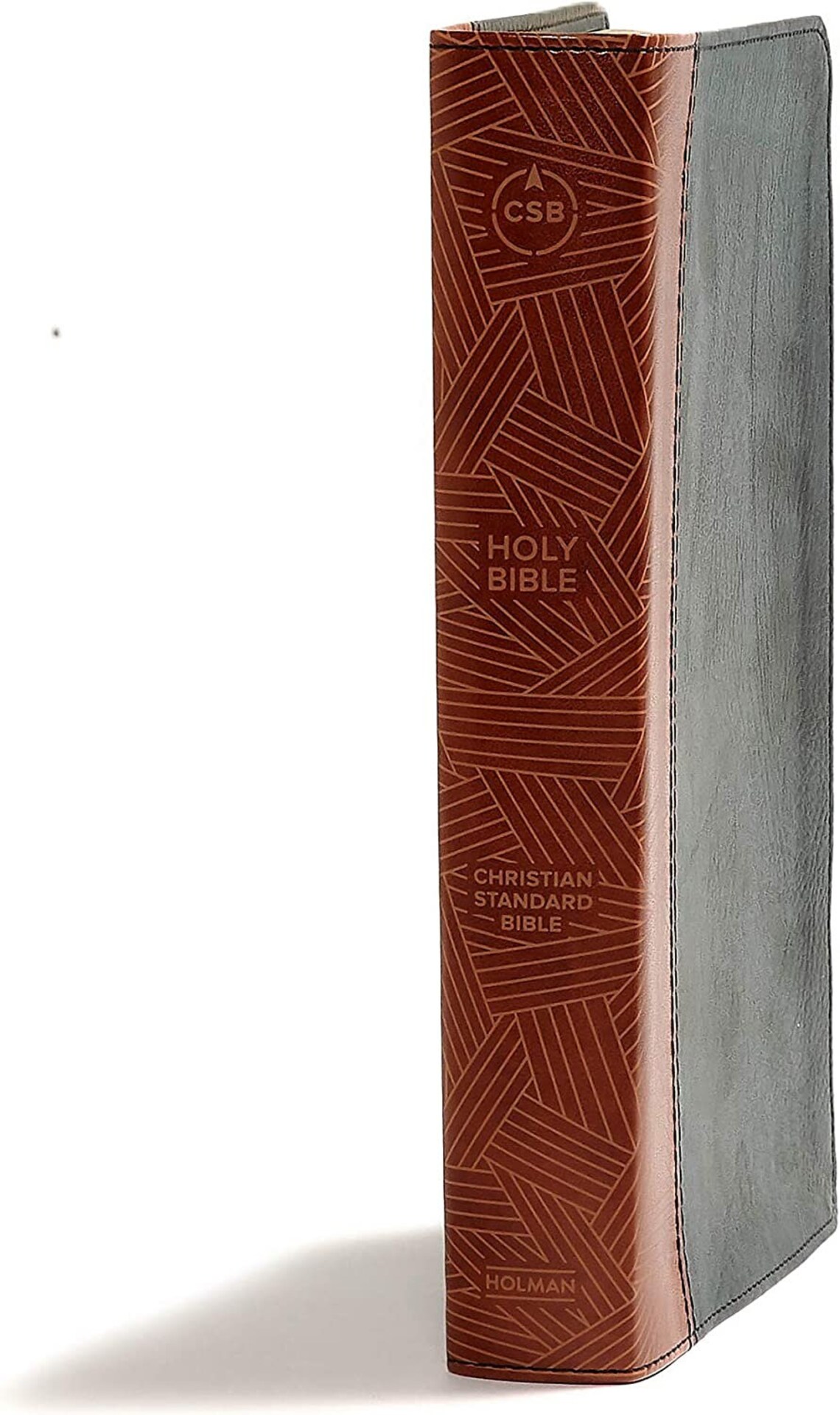 PERSONALIZED CSB Rainbow Study Bible Black and Tan - Etsy