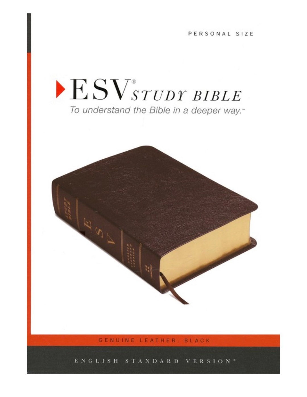 PERSONALIZED *** ESV Study Bible, Personal Size, Genuine Leather, Black ...