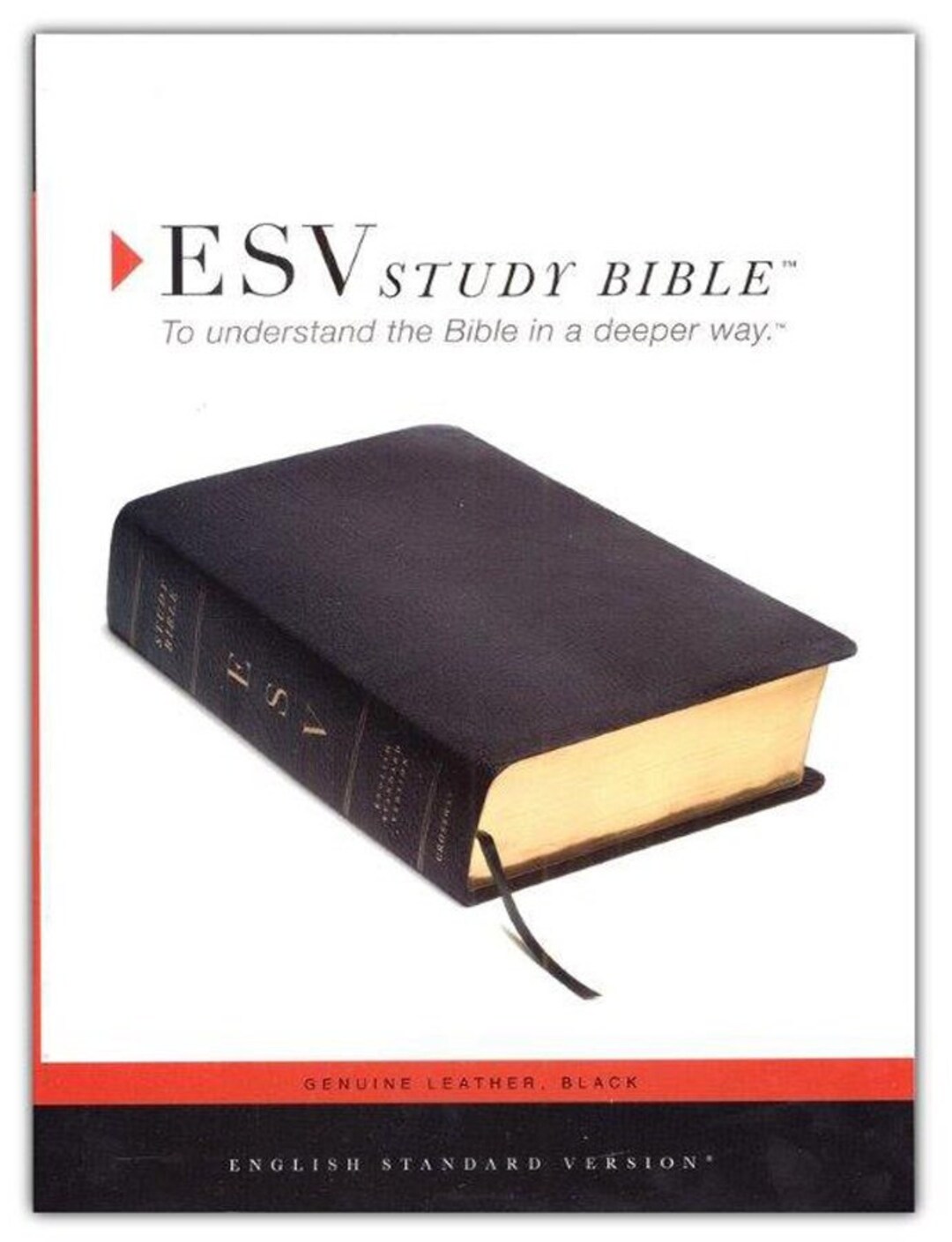 PERSONALIZED *** ESV Study Bible. Genuine Leather, Black *** Custome ...
