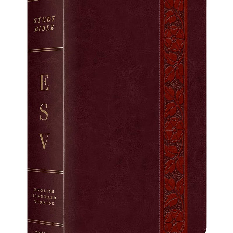 Bible Design - Etsy