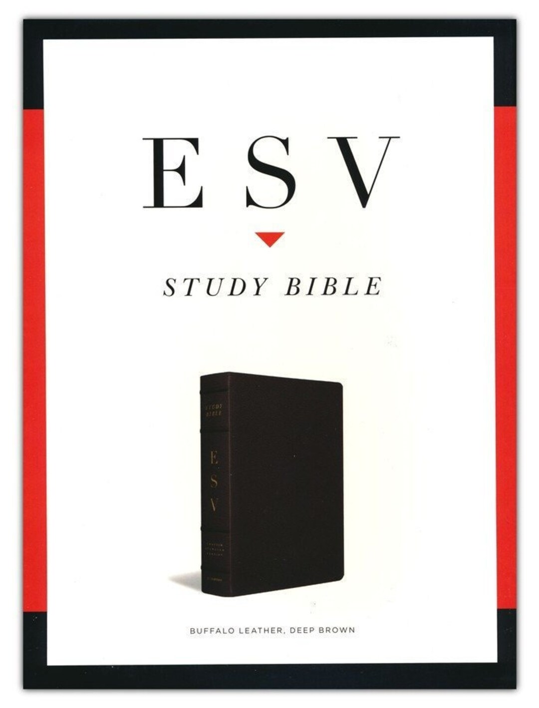 PERSONALIZED *** ESV Study Bible - Genuine Buffalo Leather - Brown ...