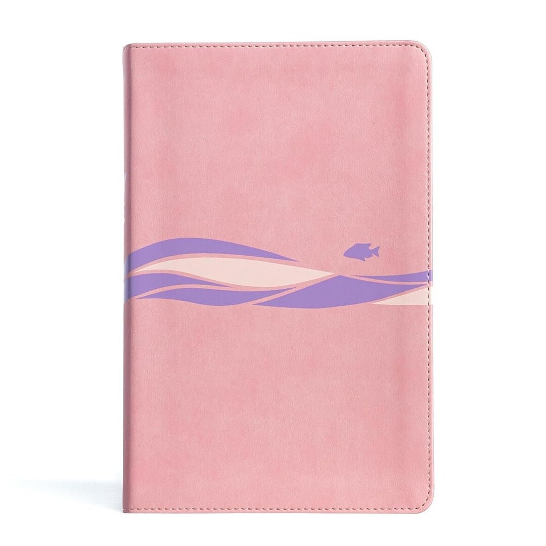 PERSONALIZED *** CSB Easy-for-me Bible for Early Readers - Soft Leather ...