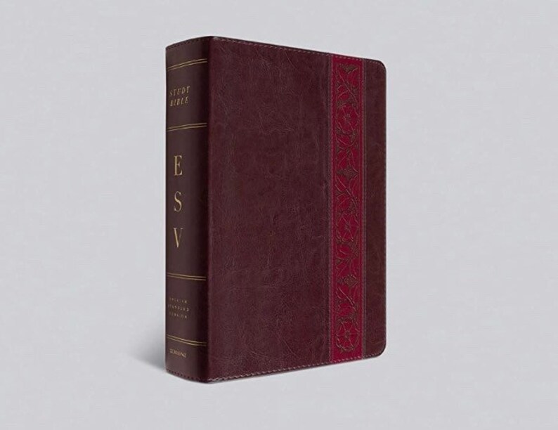 PERSONALIZED ESV Study Bible Large Print Trutone - Etsy