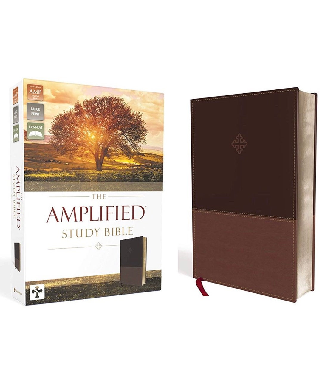 PERSONALIZED *** the Amplified Study Bible, Large Print, Leathersoft ...