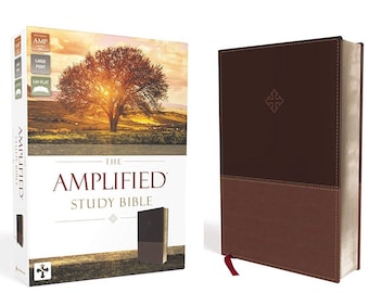 Amplified Bible Large Print 1987 Classic - Etsy