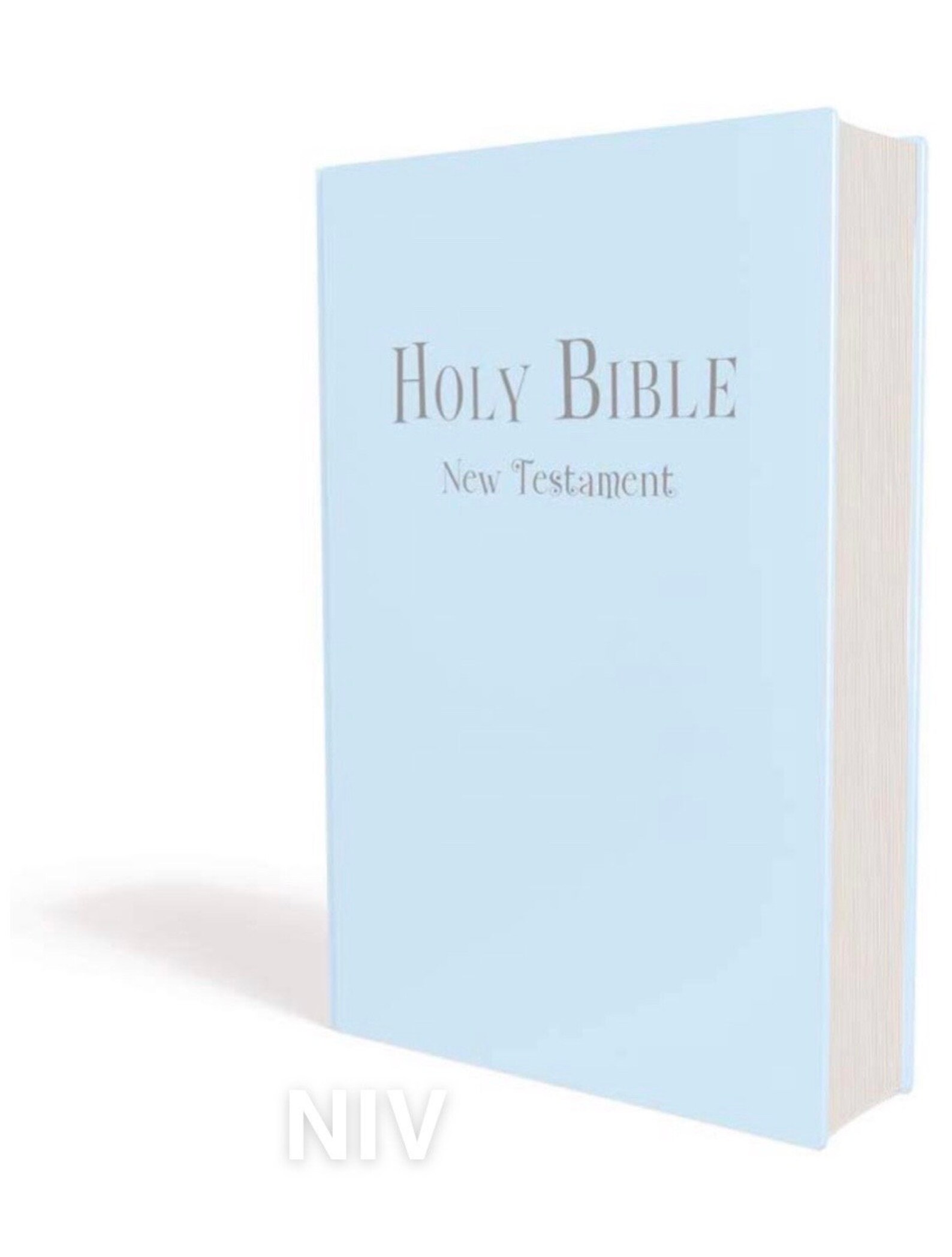 PERSONALIZED NIV Baby's New Testament Blue Pink | Etsy