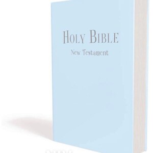 PERSONALIZED NIV Baby's New Testament Blue Pink | Etsy