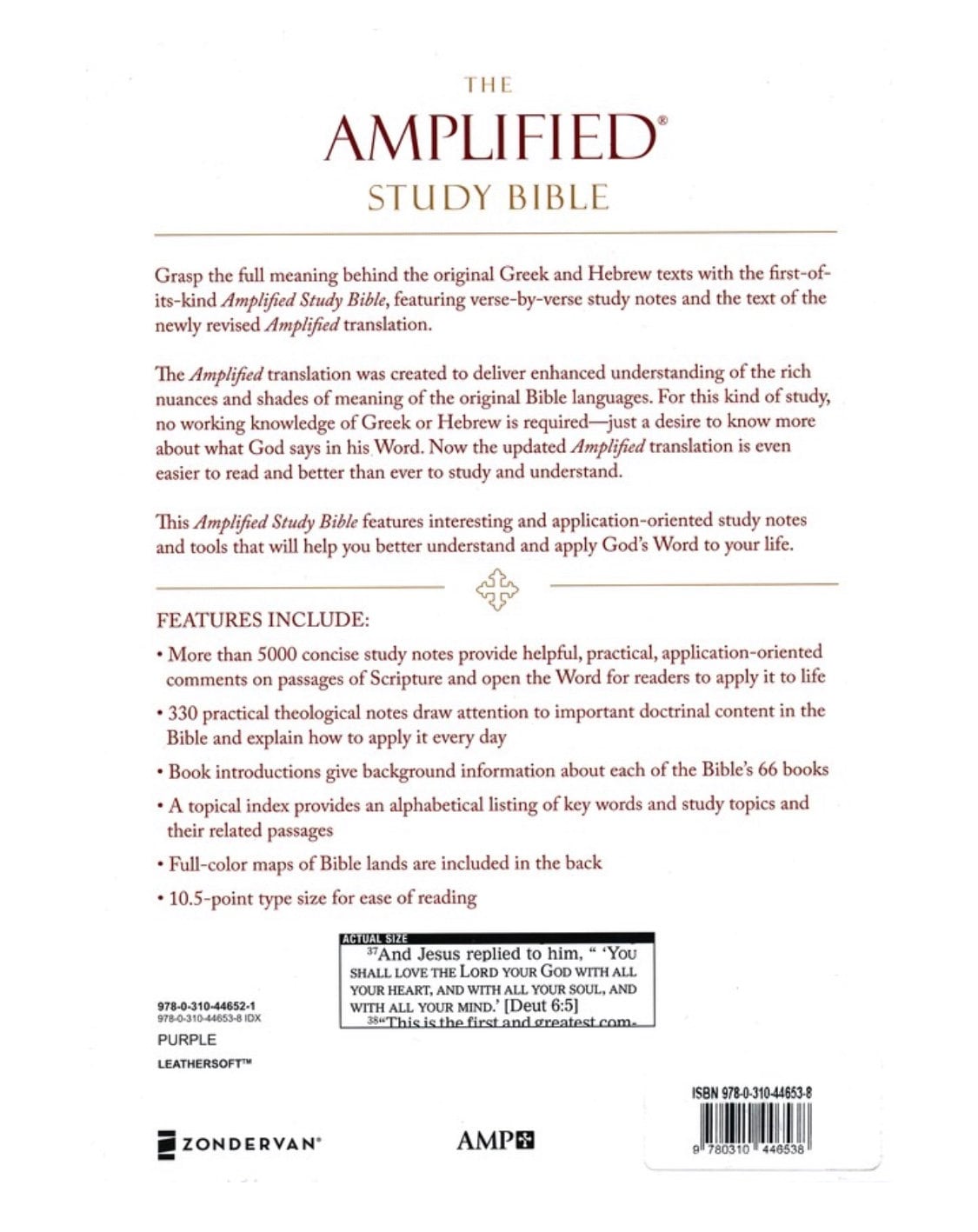 PERSONALIZED the Amplified Study Bible Large Print - Etsy