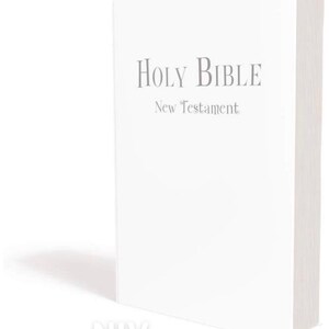 PERSONALIZED NIV Baby's New Testament Blue Pink | Etsy