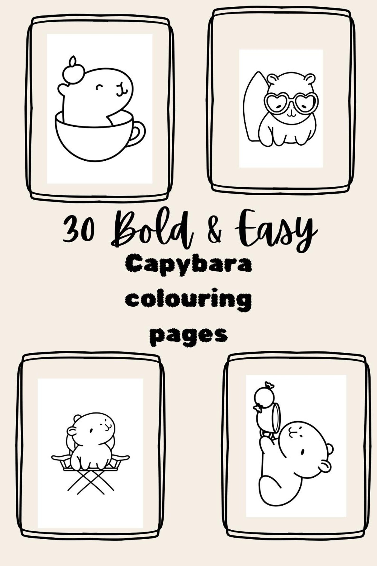 30 Bold, Easy, Simple Capybara Colouring Pages/ Digital Download - Etsy UK