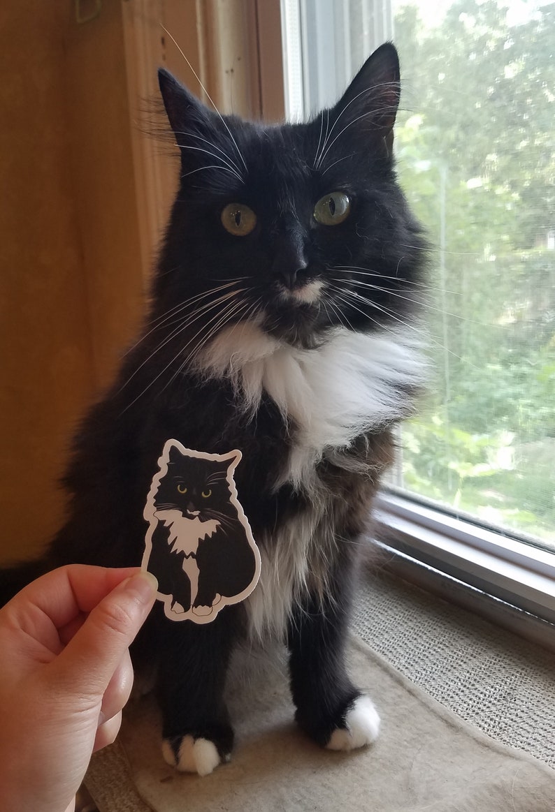 Tuxedo Cat Sticker - Etsy