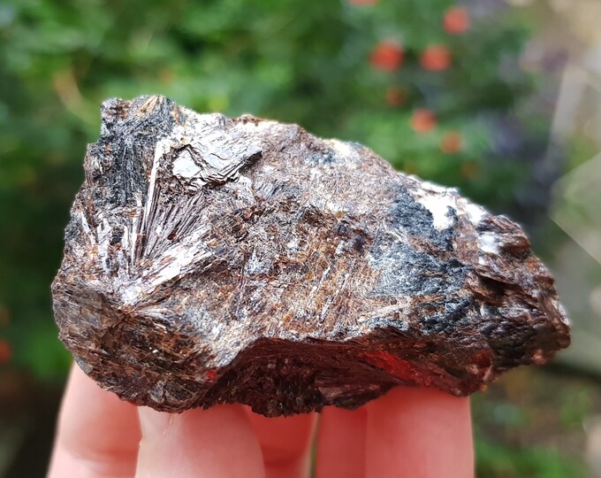 Astrophyllite | Collectible Specimen - Etsy
