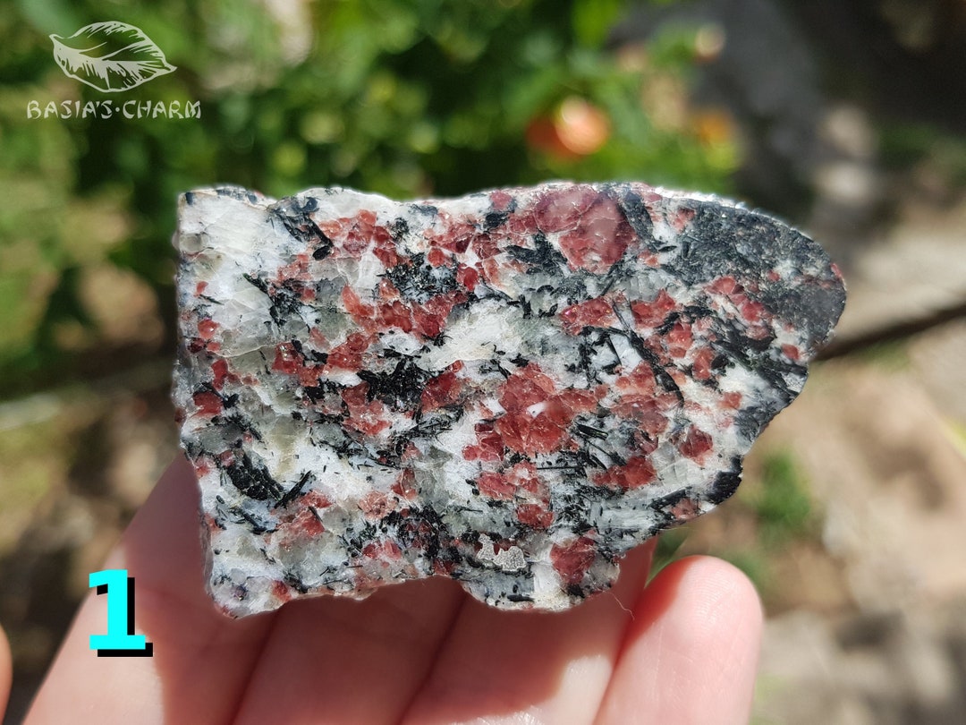 50g Eudialyte Polished Cut Collectible Specimen - Etsy