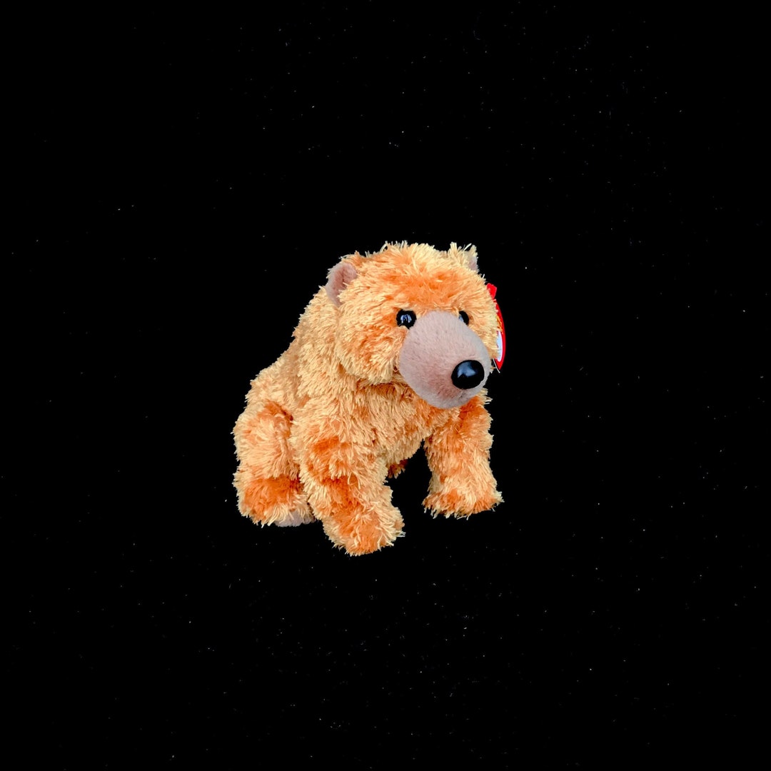 Vintage TY "sequoia" the Grizzly Bear (2001) Beanie Baby - Etsy