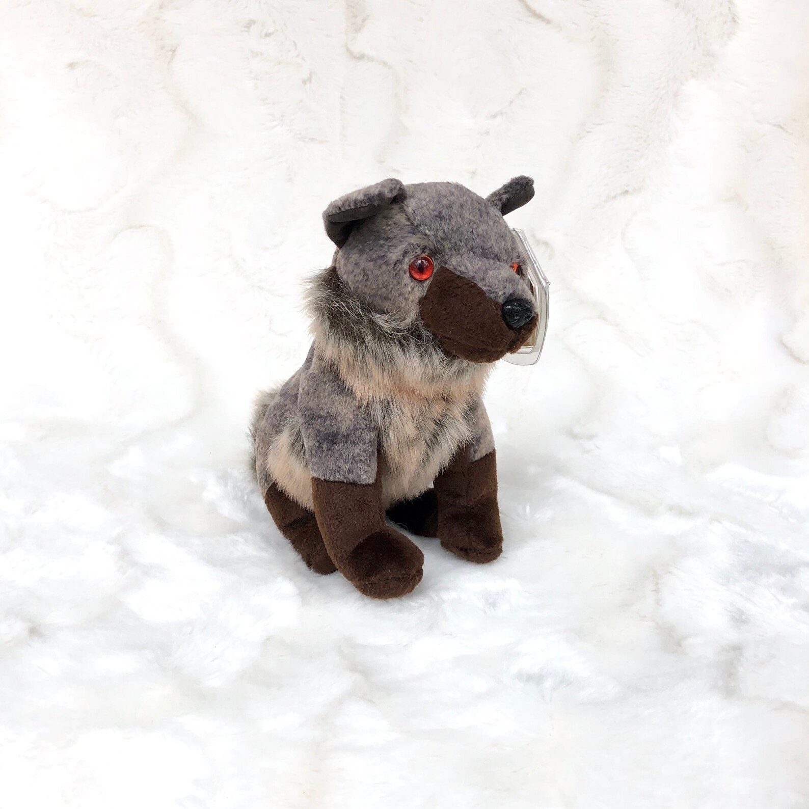 TY: Howl the Wolf 2000 Beanie Baby | Etsy