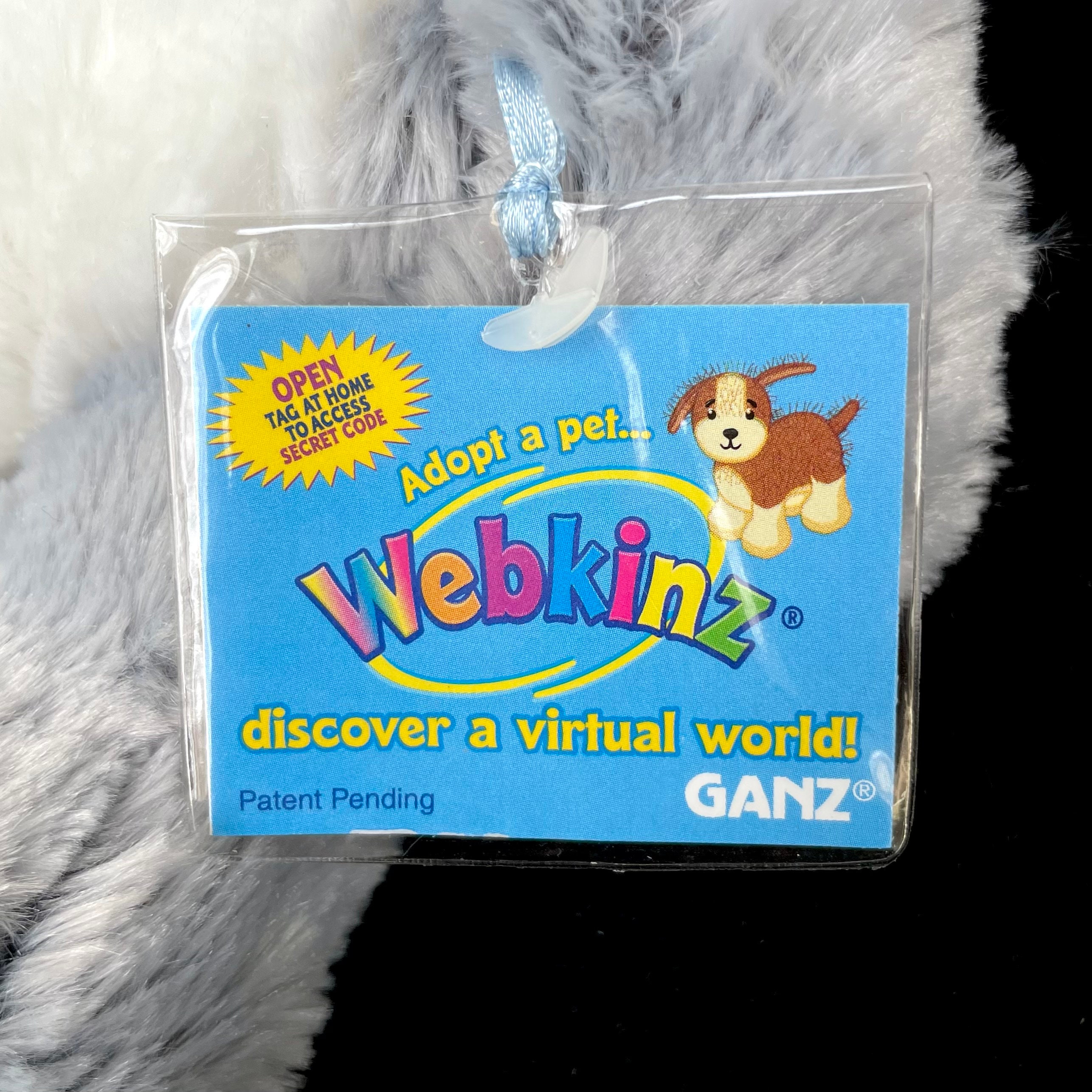 Webkinz Codes That Always Work