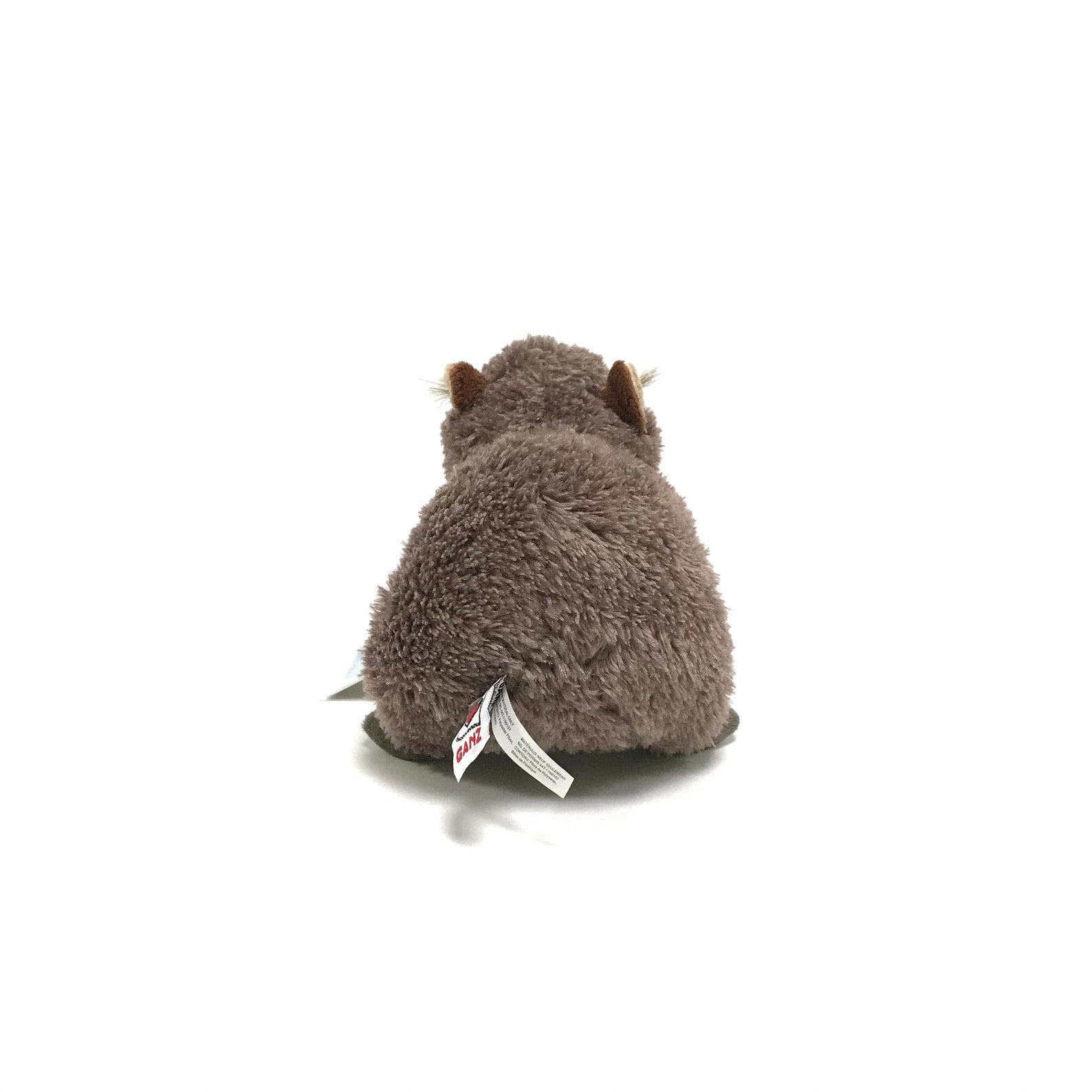 GANZ Webkinz Wombat // New With Sealed Code - Etsy