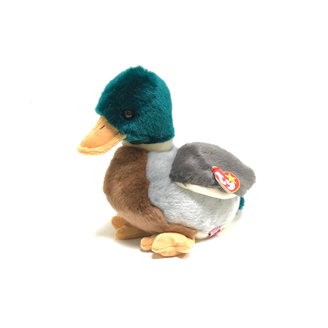 Vintage TY "jake" the Drake (1998) Beanie Buddy - Etsy