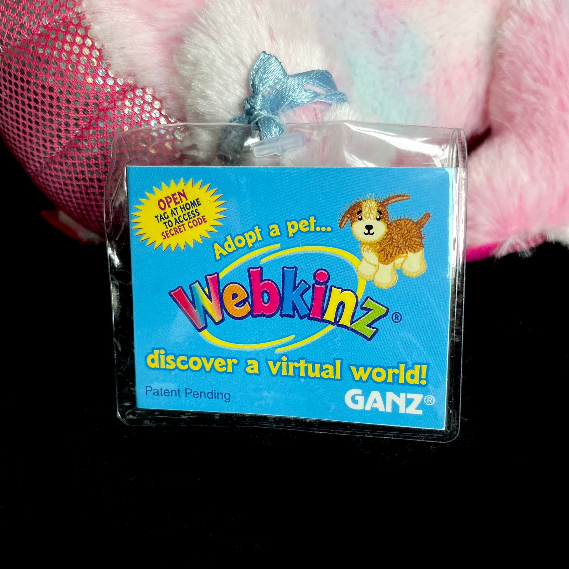 Webkinz Codes That Always Work